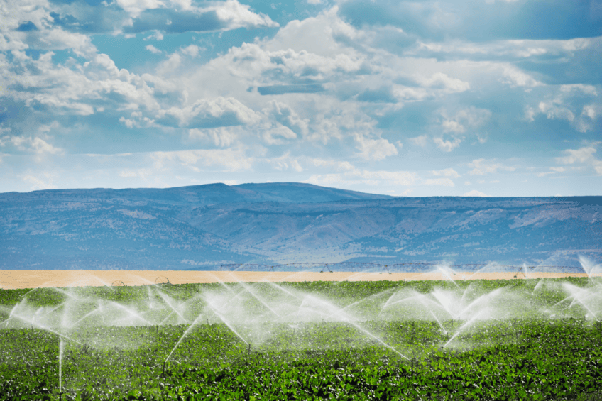 Changes in farming practices can yield big savings in water use ...