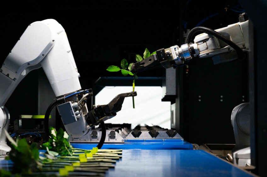 Robot grafts trees without errors - Future Farming