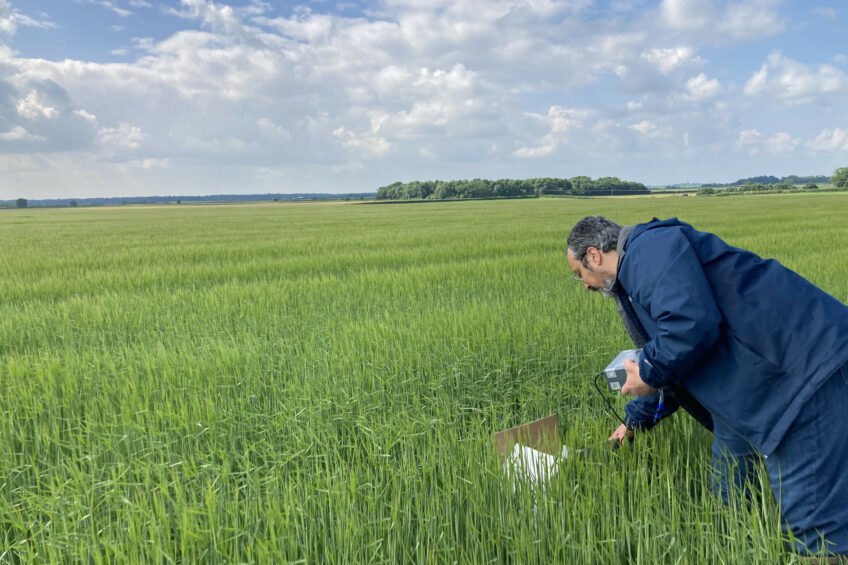 UK field trials; can R-Leaf breakdown harmful gases in crops? - Future Farming