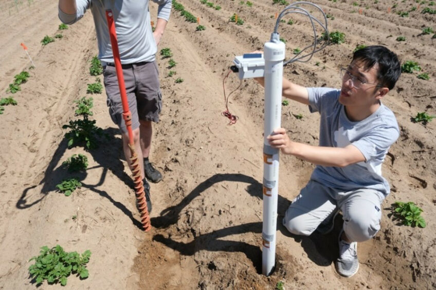 Low-cost printed nitrate sensors enhance precision farming - Future Farming
