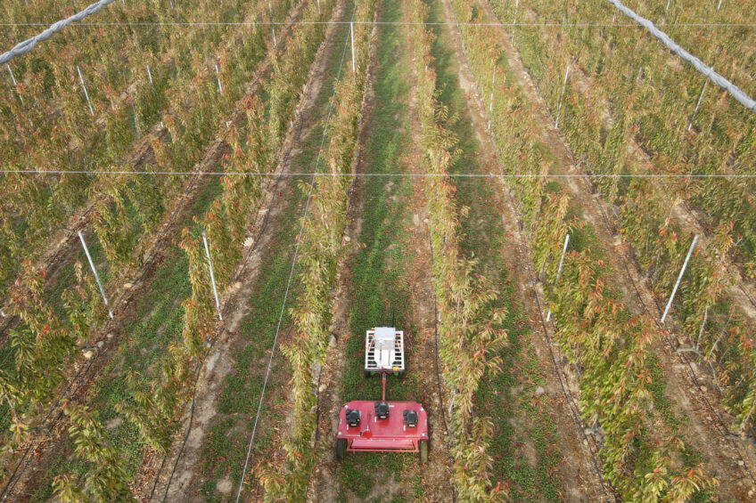 New Zealand farmer struggles to fully tame his 6 Burro field robots ...