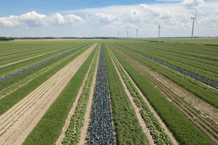 Study: Autonomous strip cropping outperforms traditional methods ...