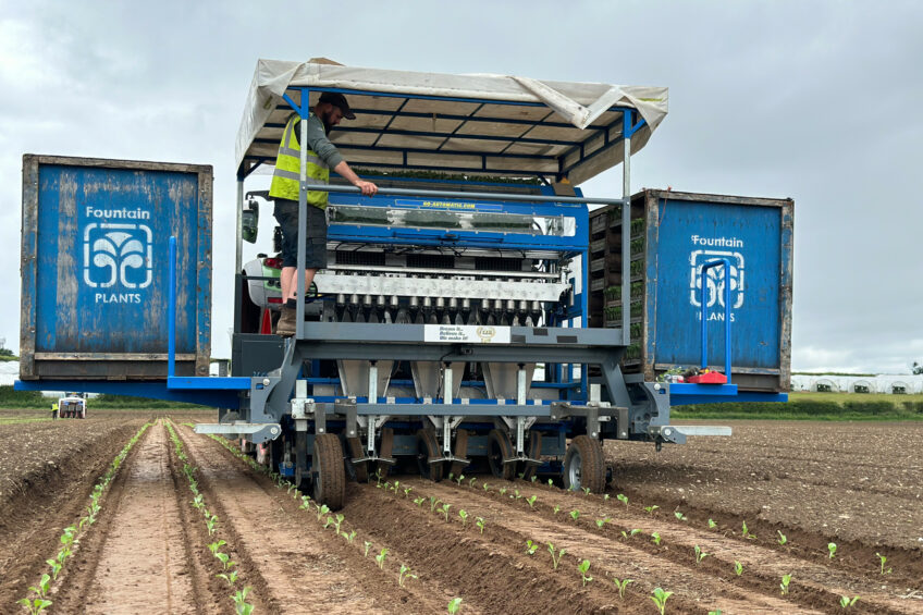 High-speed robotic transplanters for precision seedling planting ...