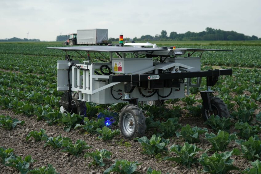 Field robot Earth Rover combats weeds with light