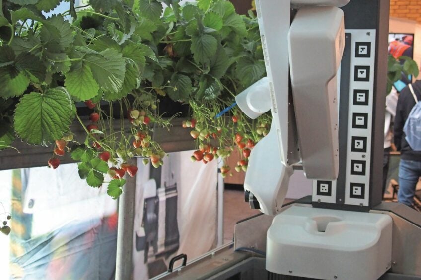 Strawberry picking robot Dogtooth ready for practical use