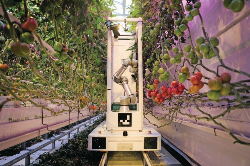 Eternal.ag launches autonomous tomato harvesting robot