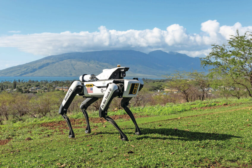 Arable farms switch to robotic dogs to guard valuable corn crops ...