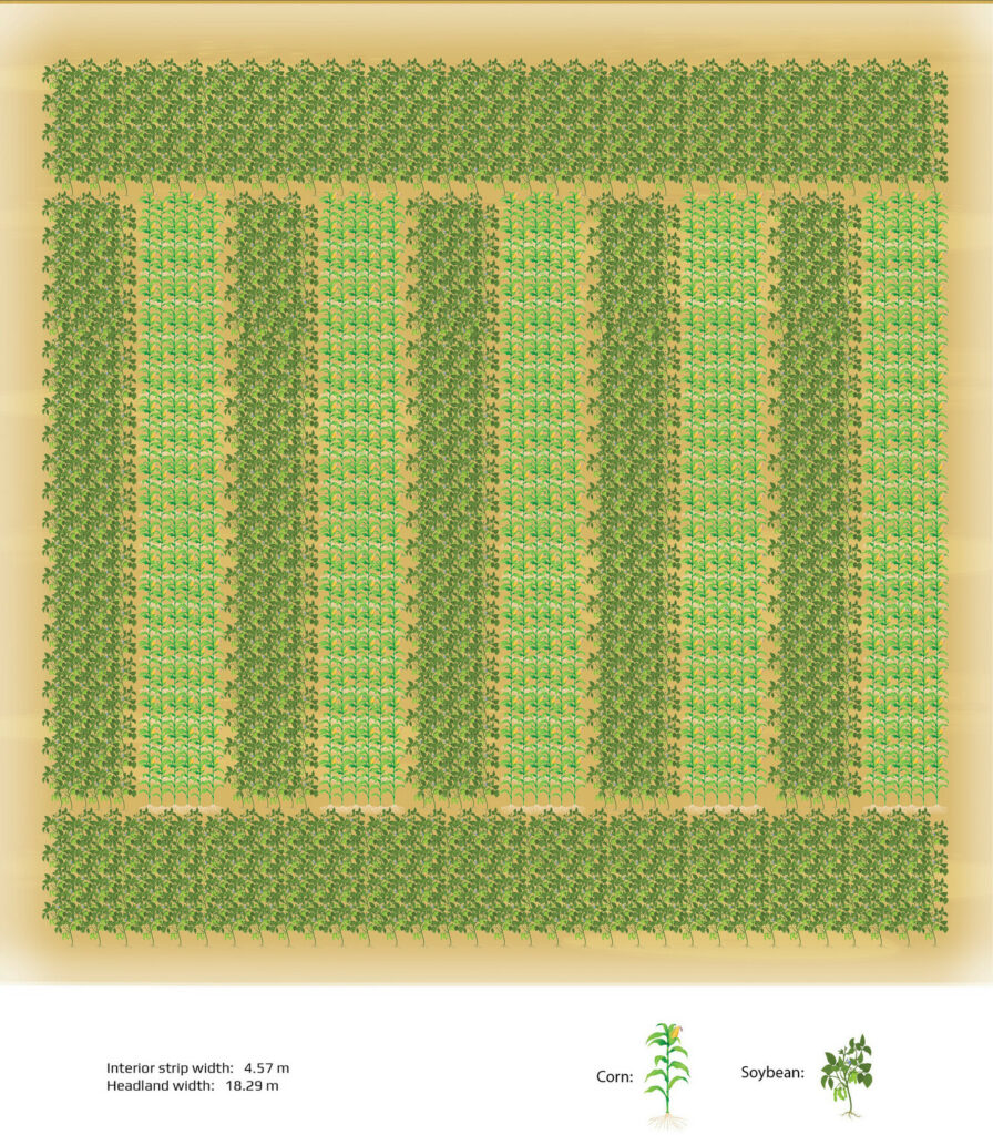 Study: Autonomous strip cropping outperforms traditional methods ...