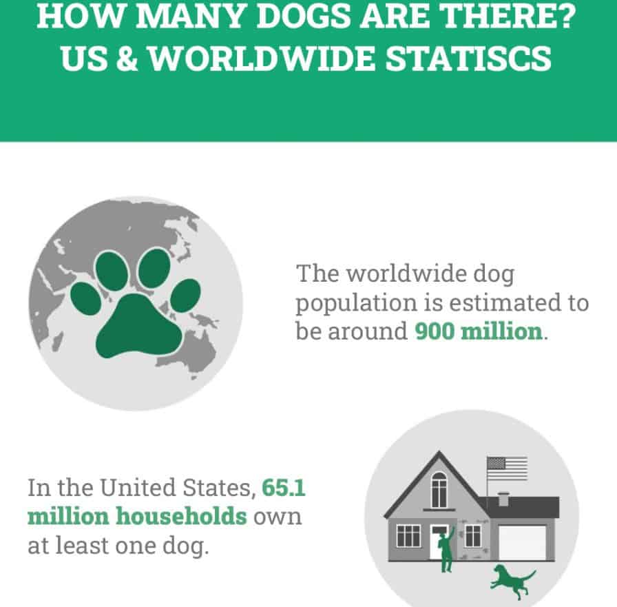 Pet Ownership Statistics And Facts (2025)