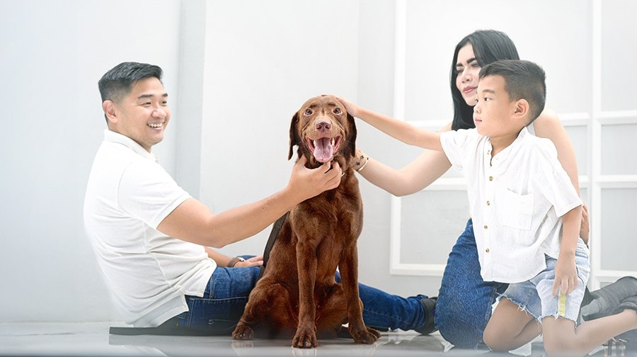 Price List - Andy Pena