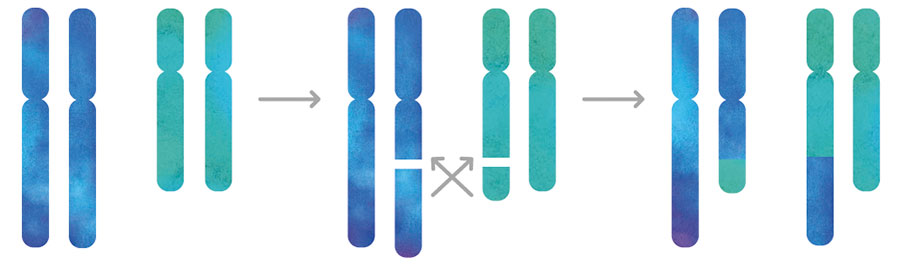 PGT-SR - CooperSurgical