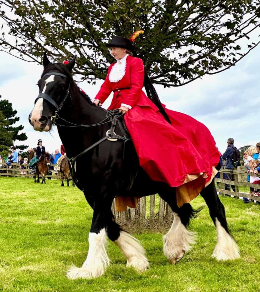 Shire Horse Names: A Guide to Naming Your Gentle Giant - Home In The ...