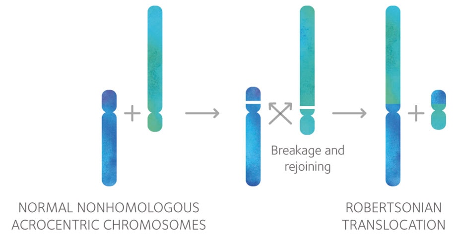 PGT-SR - CooperSurgical