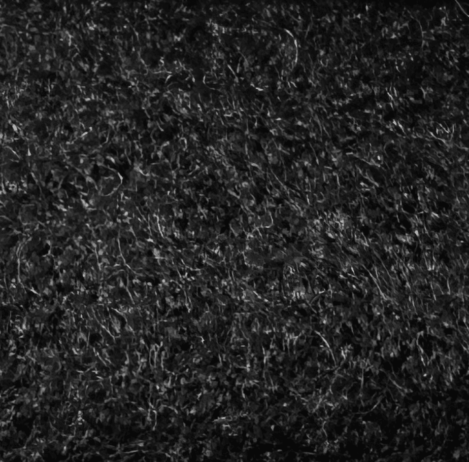 Black Wool ‣ Derlook