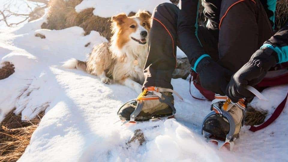15 Best Hiking Crampons - Ultimate Guide to Gripping the Slopes