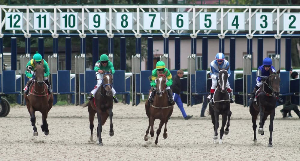 Top 100 Racehorse Names: From Legends to Modern Stars - Home In The ...