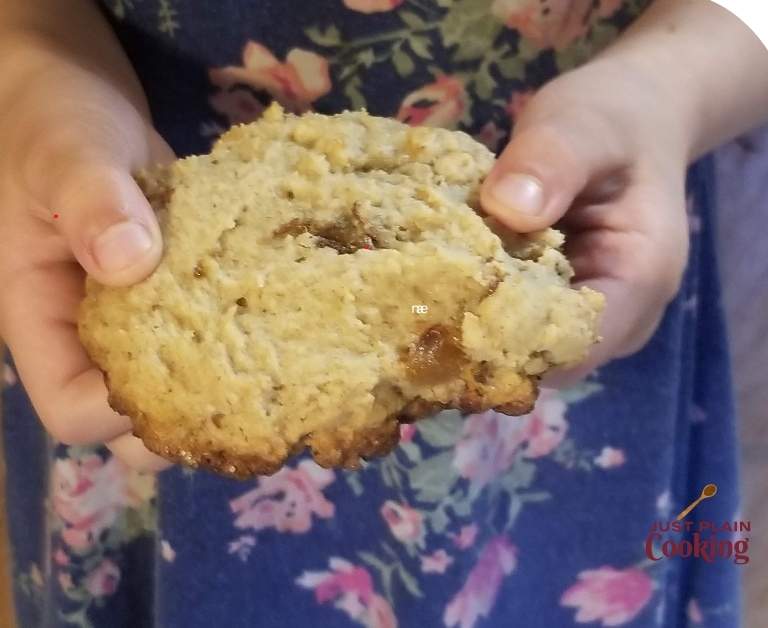 Jumbo Raisin Hermit Cookies » Just Plain Cooking