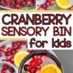 Cranberry Sensory Bin Activity for Kids: A Festive Play Idea