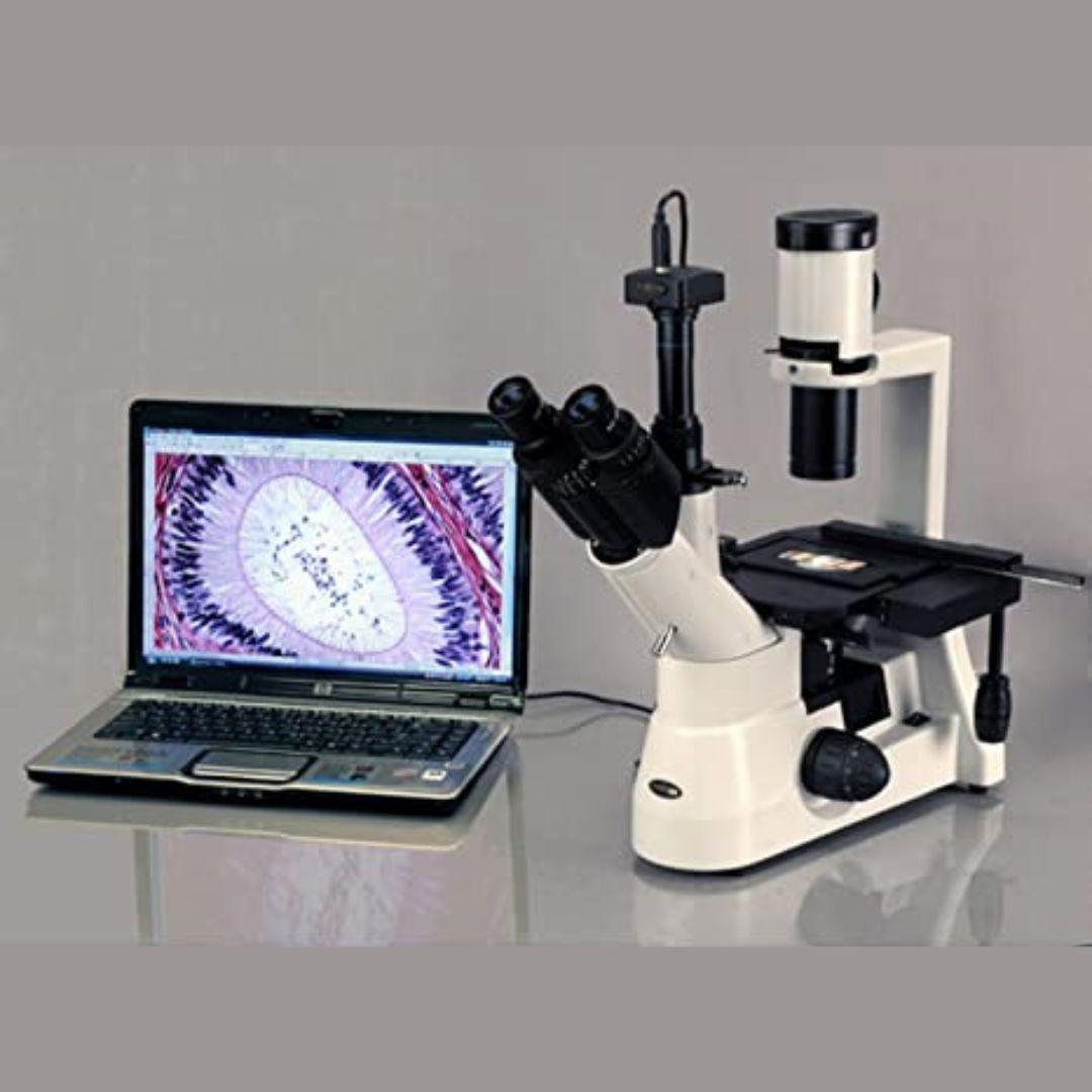 Microscope à Contraste de Phase - Meilleurs Microscopes