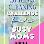 The Ultimate Spring Cleaning To Do List Every Mom Needs - The Farm Girl ...