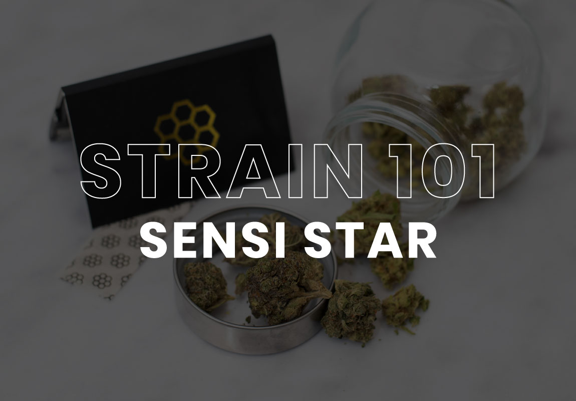 Cannabis Blog & Strain Reviews | Hunny Pot Cannabis