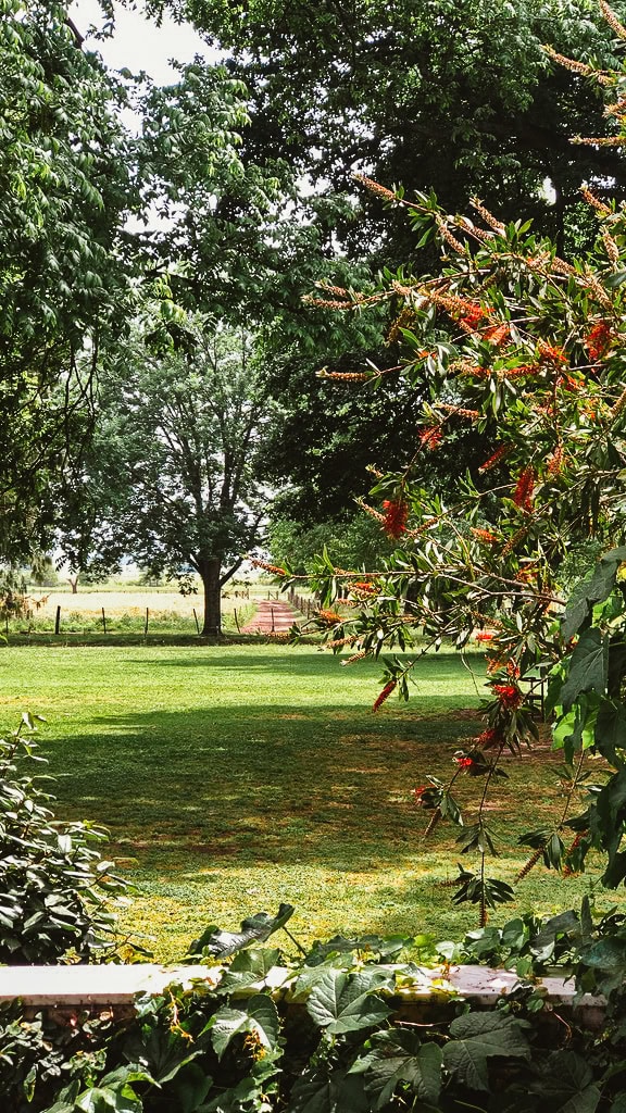 ESTANCIA EL OMBÚ - Traveler Designer - Hoteles