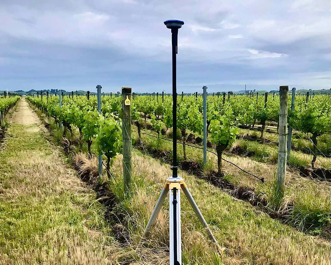 Vineyard Management: Drones Combat Powdery Mildew in New Zealand ...