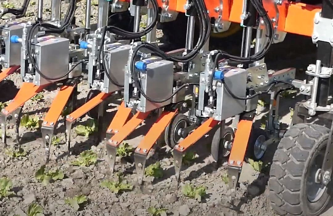 Demonstration showcases the skills of new in-row weeders - Future Farming