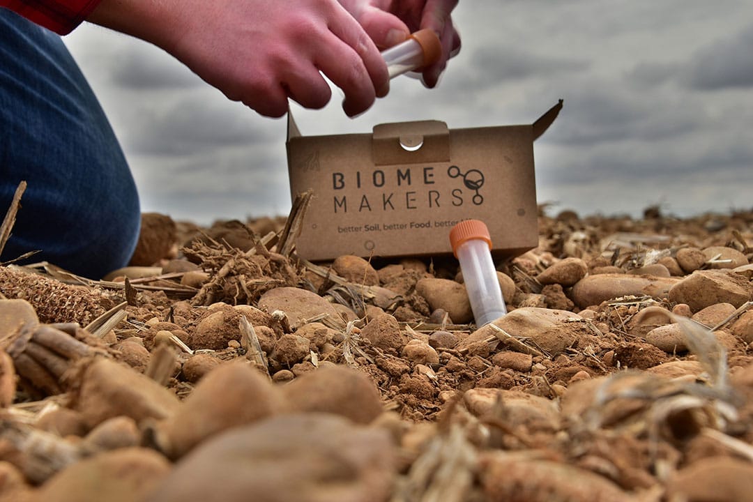 DNA soil analysis, what’s involved and the benefits it provides ...