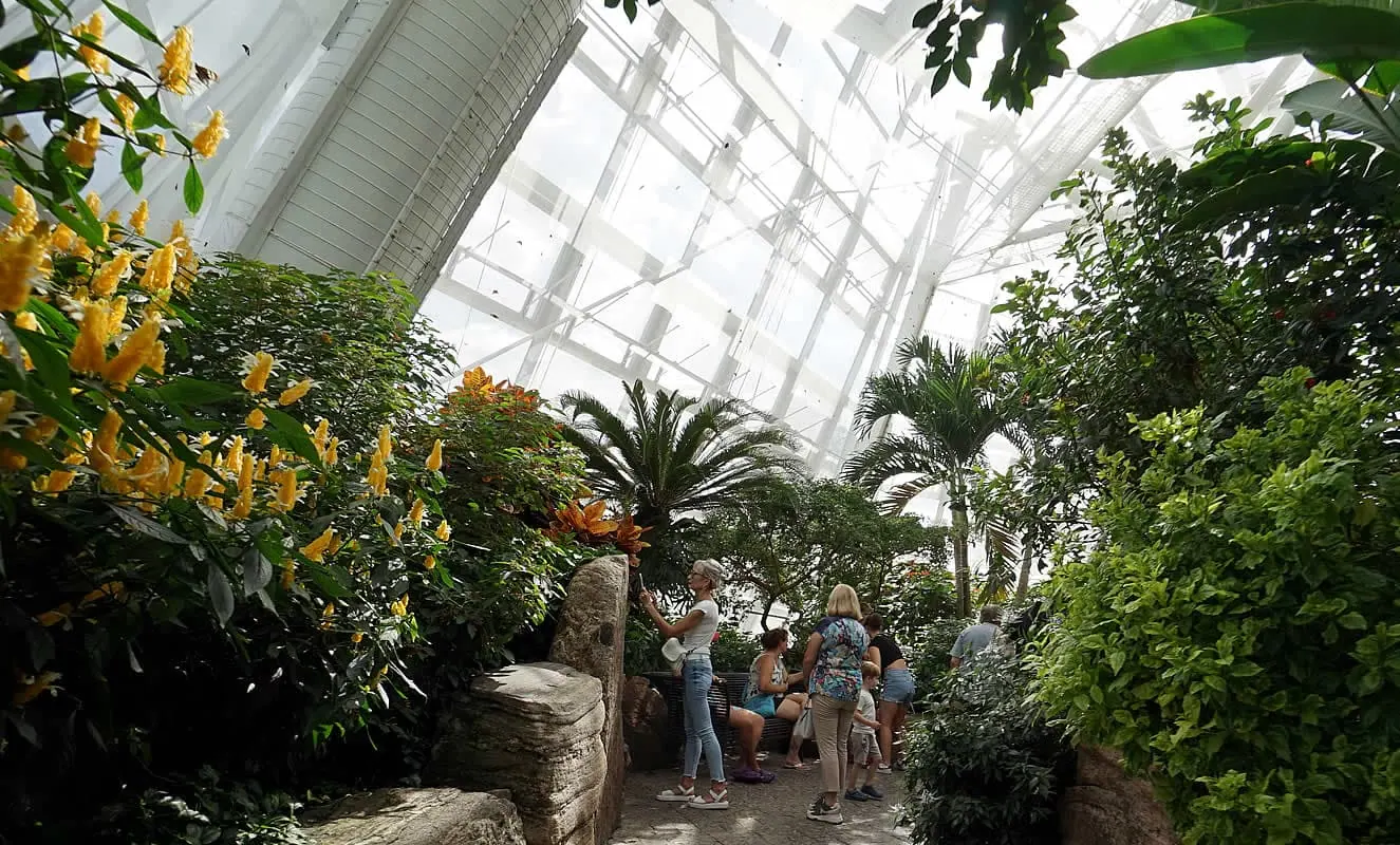 Butterfly Conservatory | Niagara Falls – Niagara Falls USA & Canada Tourism