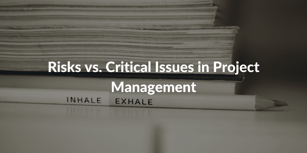 Risks vs. Criticalities in Project Management