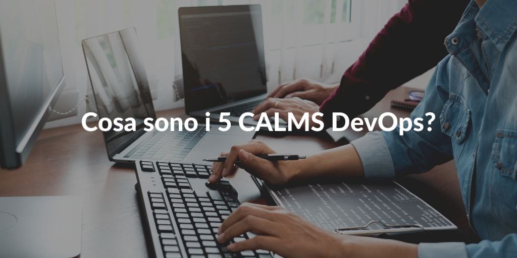 Cosa sono i 5 CALMS DevOps? - QRP International