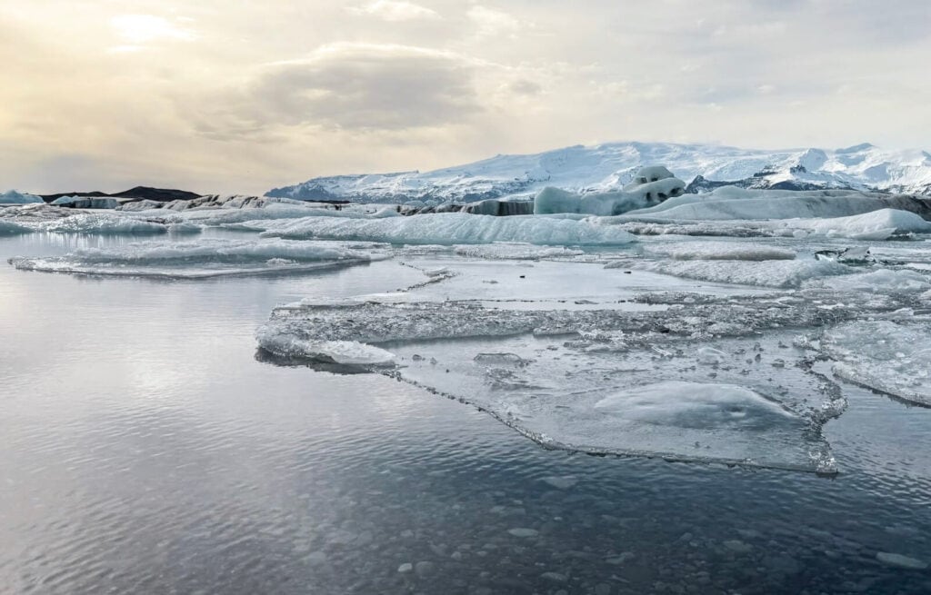 Iceland in Spring: Everything You Need to Know