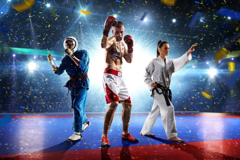 EB-1 Approval for Professional Karateka 2