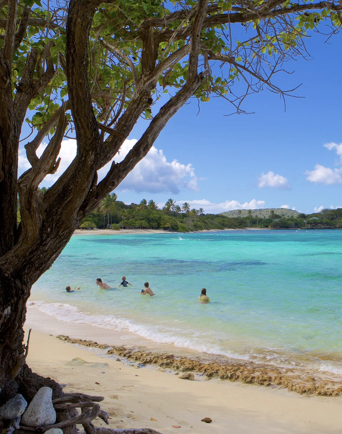 Private Beach Hopping Tour in St. Thomas USVI