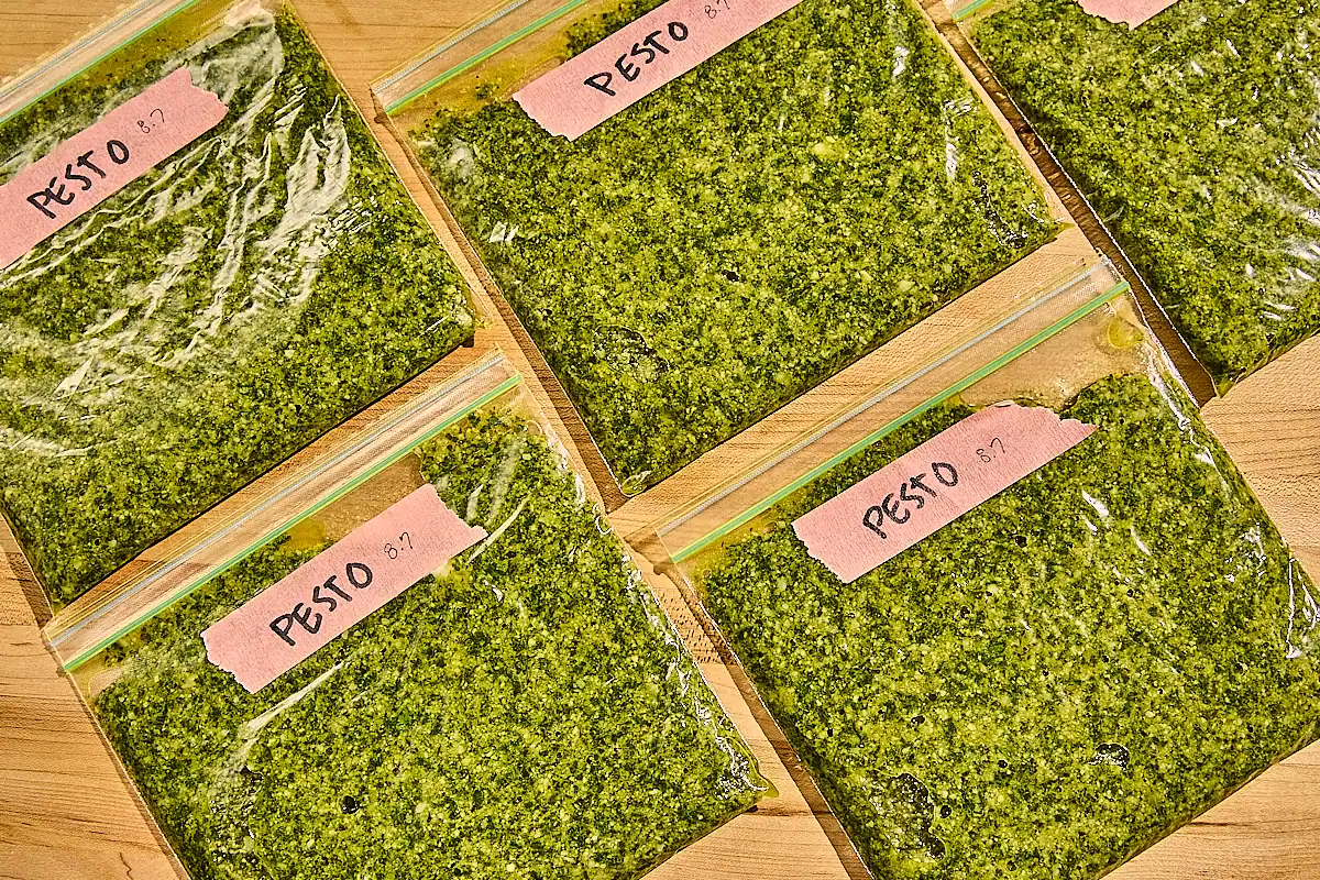 Big Batch Basil Pesto Recipe (by Weight)