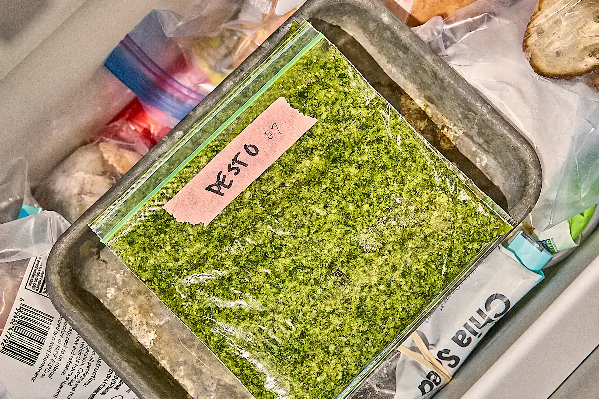 Big Batch Basil Pesto Recipe (by Weight)
