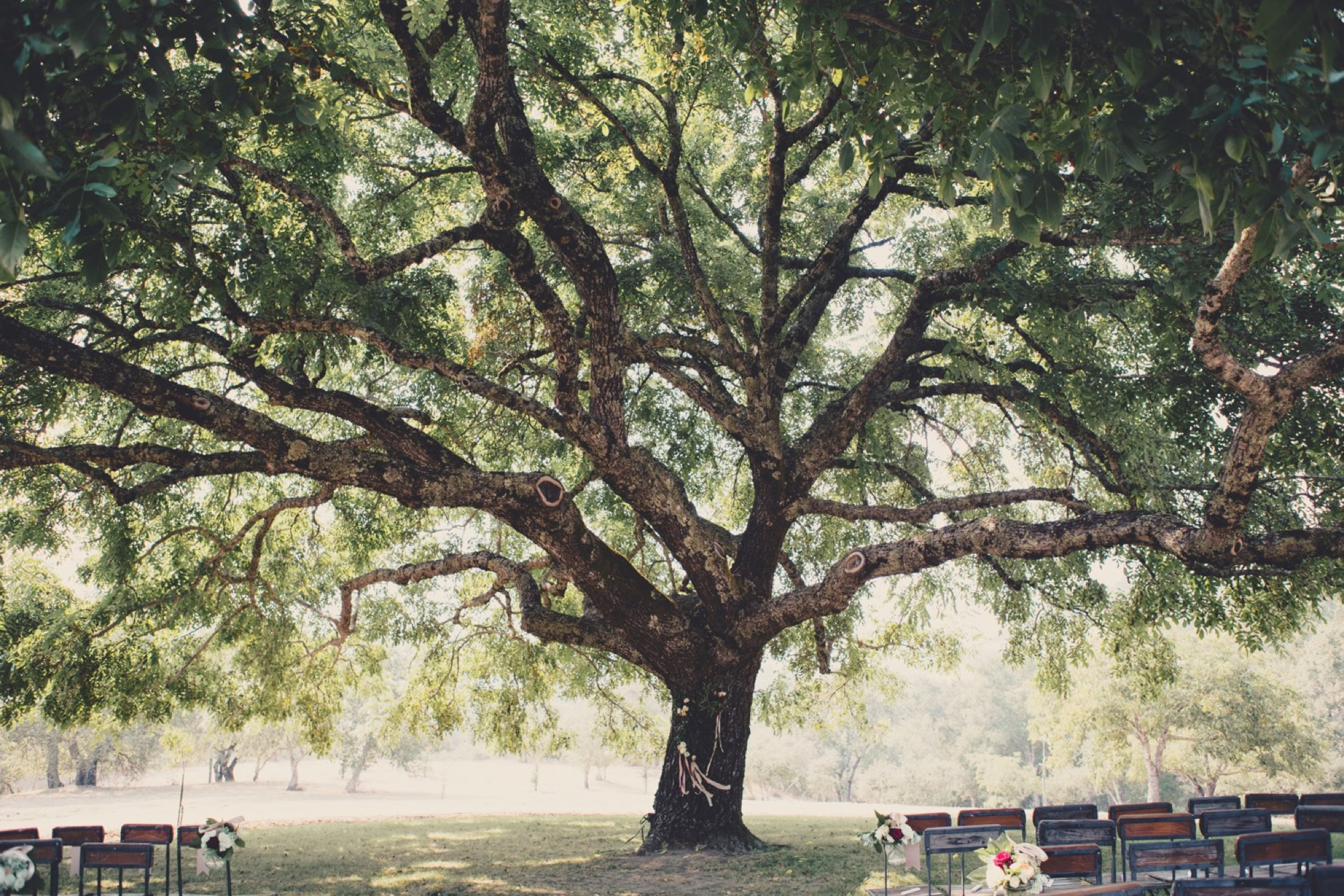 SSS Ranch Napa Wedding - Triple S Ranch Wedding Photographer