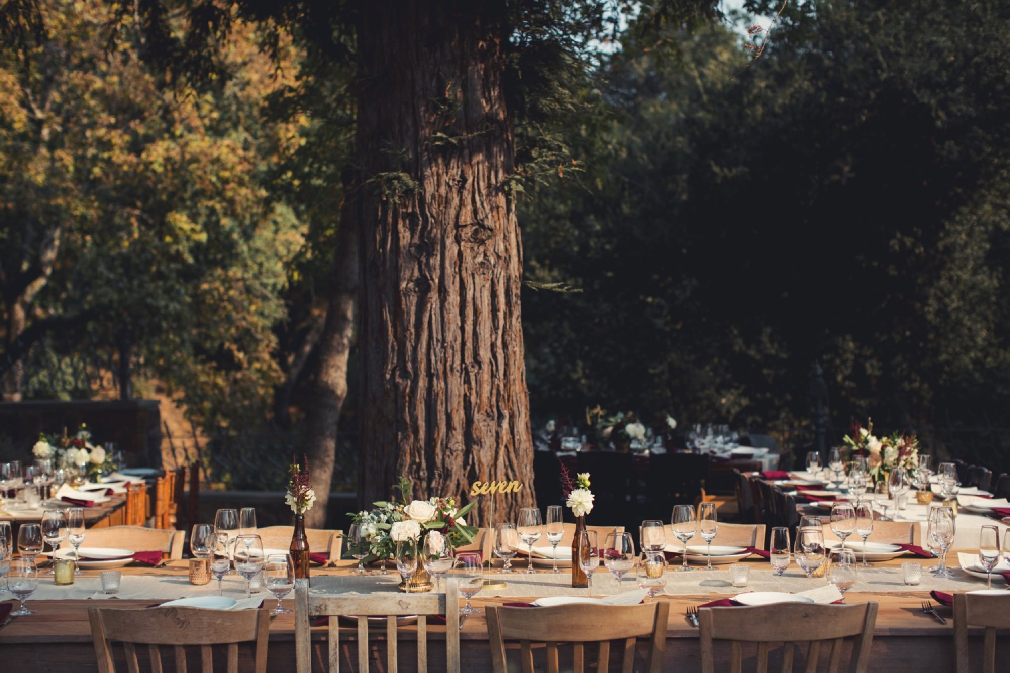 SSS Ranch Napa Wedding - Triple S Ranch Wedding Photographer