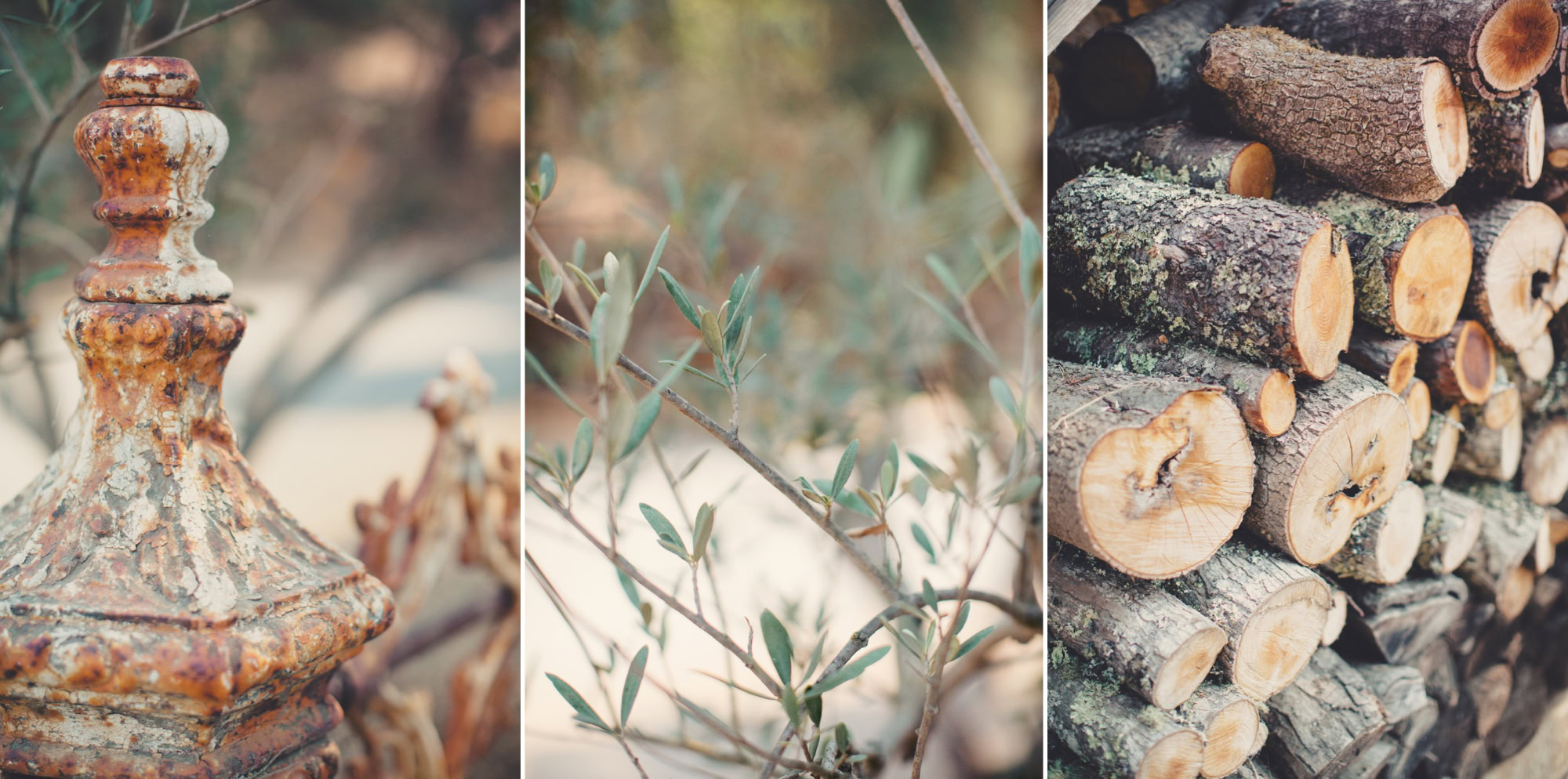 SSS Ranch Napa Wedding - Triple S Ranch Wedding Photographer