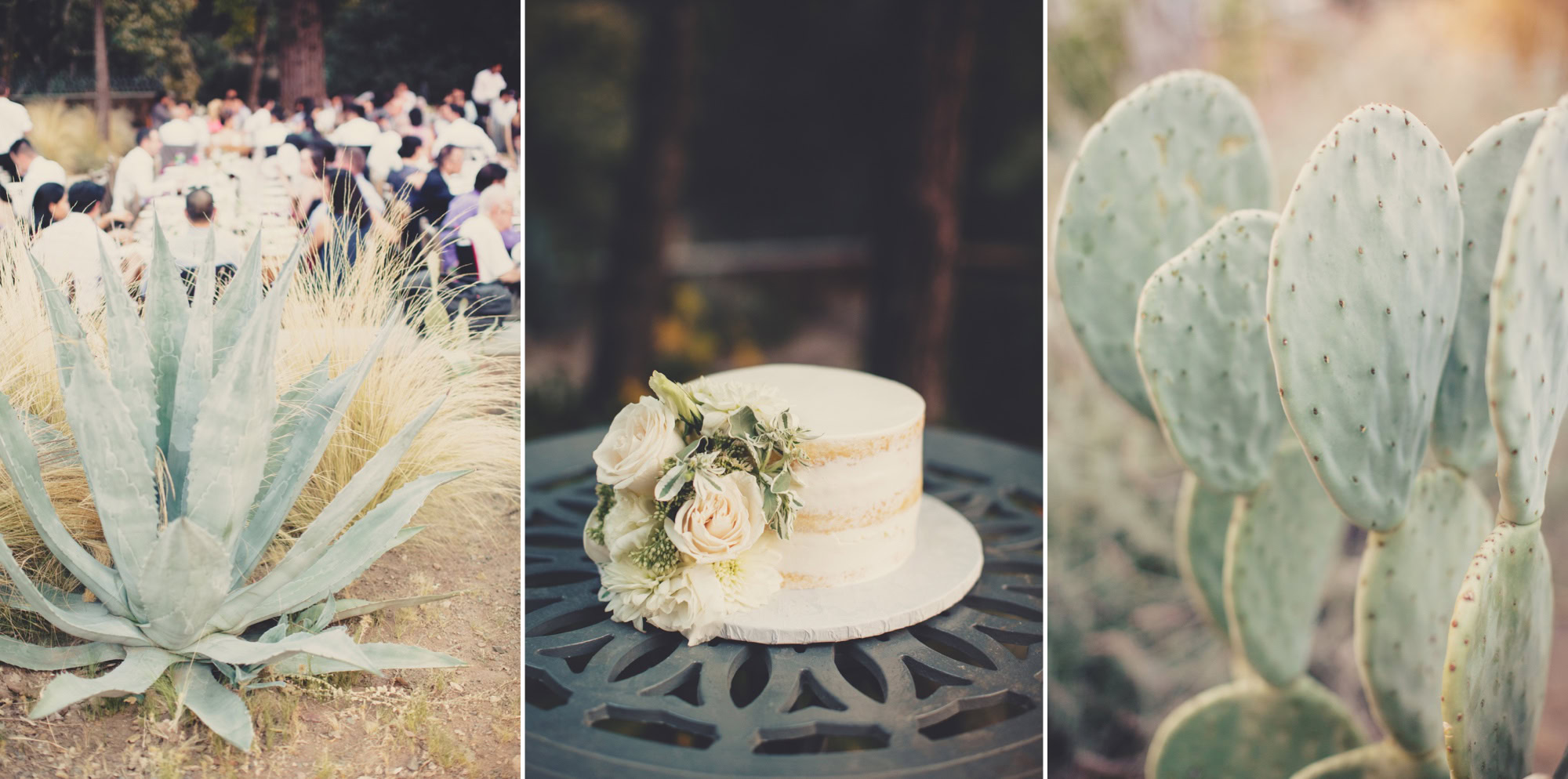 SSS Ranch Napa Wedding - Triple S Ranch Wedding Photographer