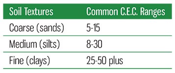 Reading A Soil Test Report: Understanding Terms And Acceptable Ranges