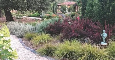 How To Hydrozone Landscape Plants