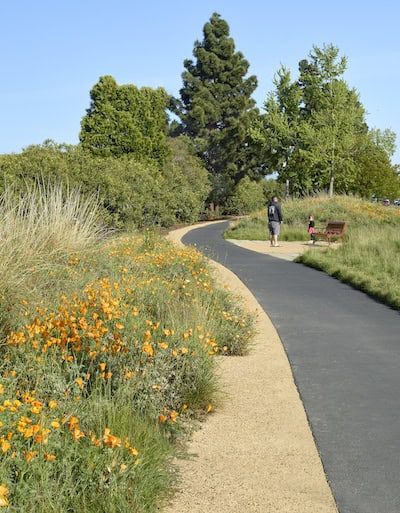 Second Time's A Charm For Mission Boulevard Park Upgrade
