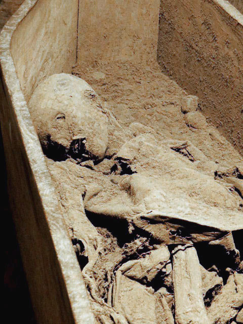 Creepy Dublin, the Mummies of St. Michan's Church