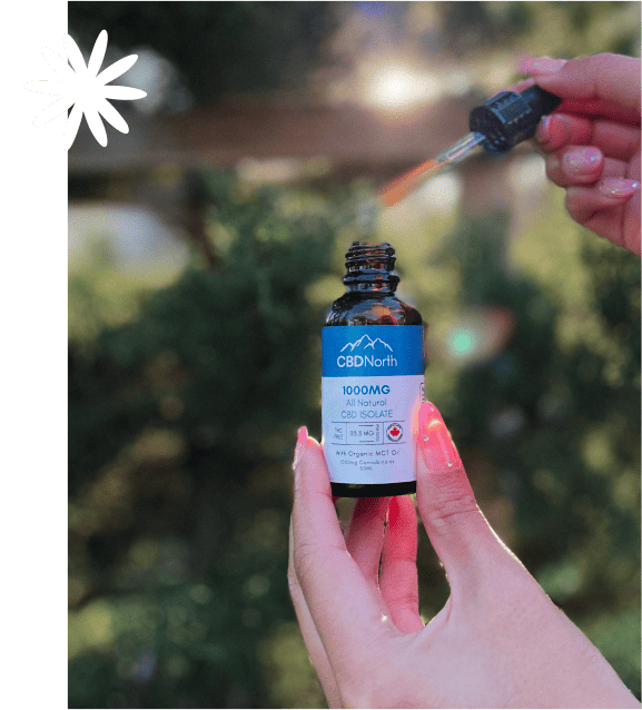 THC-Free CBD Oil: Isolate CBD Extract - CBDNorth Canada