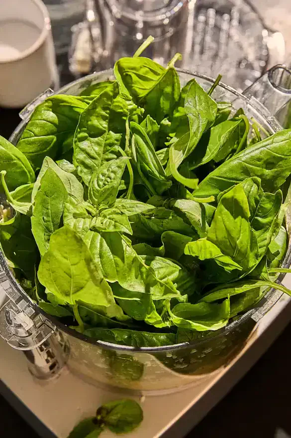 Big Batch Basil Pesto Recipe (by Weight)