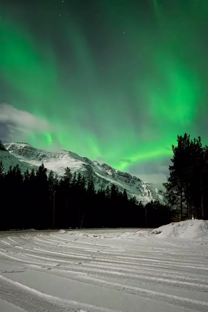 A Tromso Northern Lights Tour: Everything You Need to Know! - Under ...