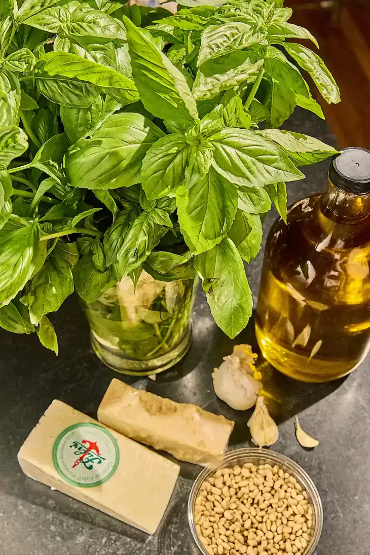Big Batch Basil Pesto Recipe (by Weight)