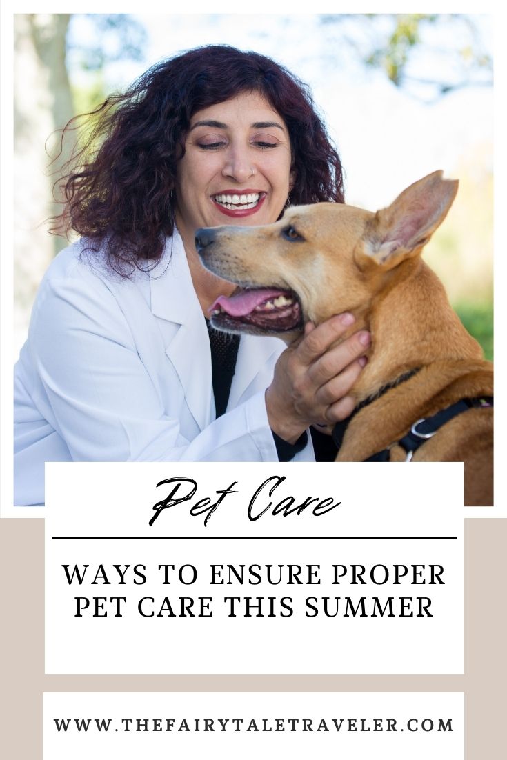 Pet Care Guide - 7 Necessary Tips for Better Pet Health